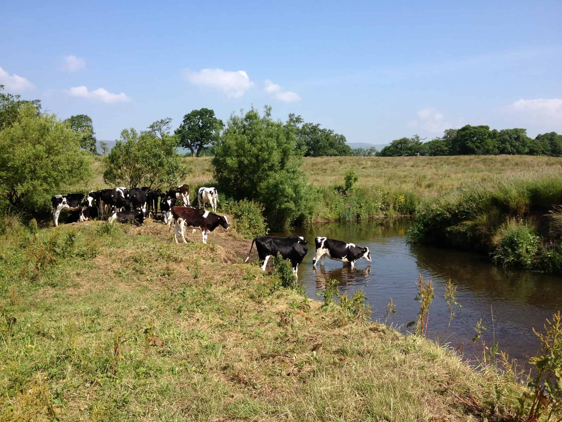 Farm Advice - Ribble Rivers Trust