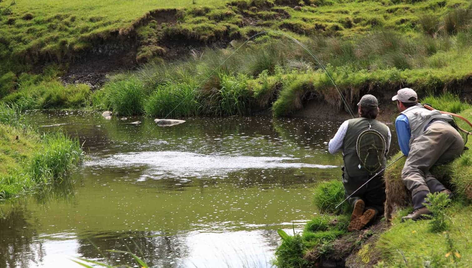 Go fishing! – Ribble Rivers Trust