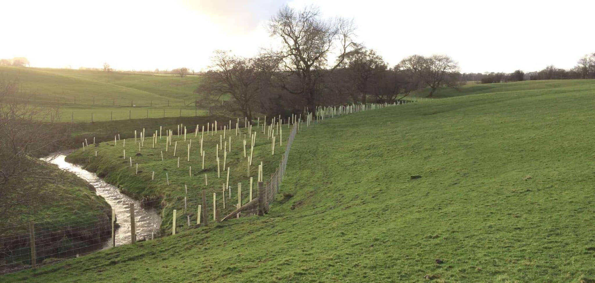 Ribble Life Together - Ribble Rivers Trust