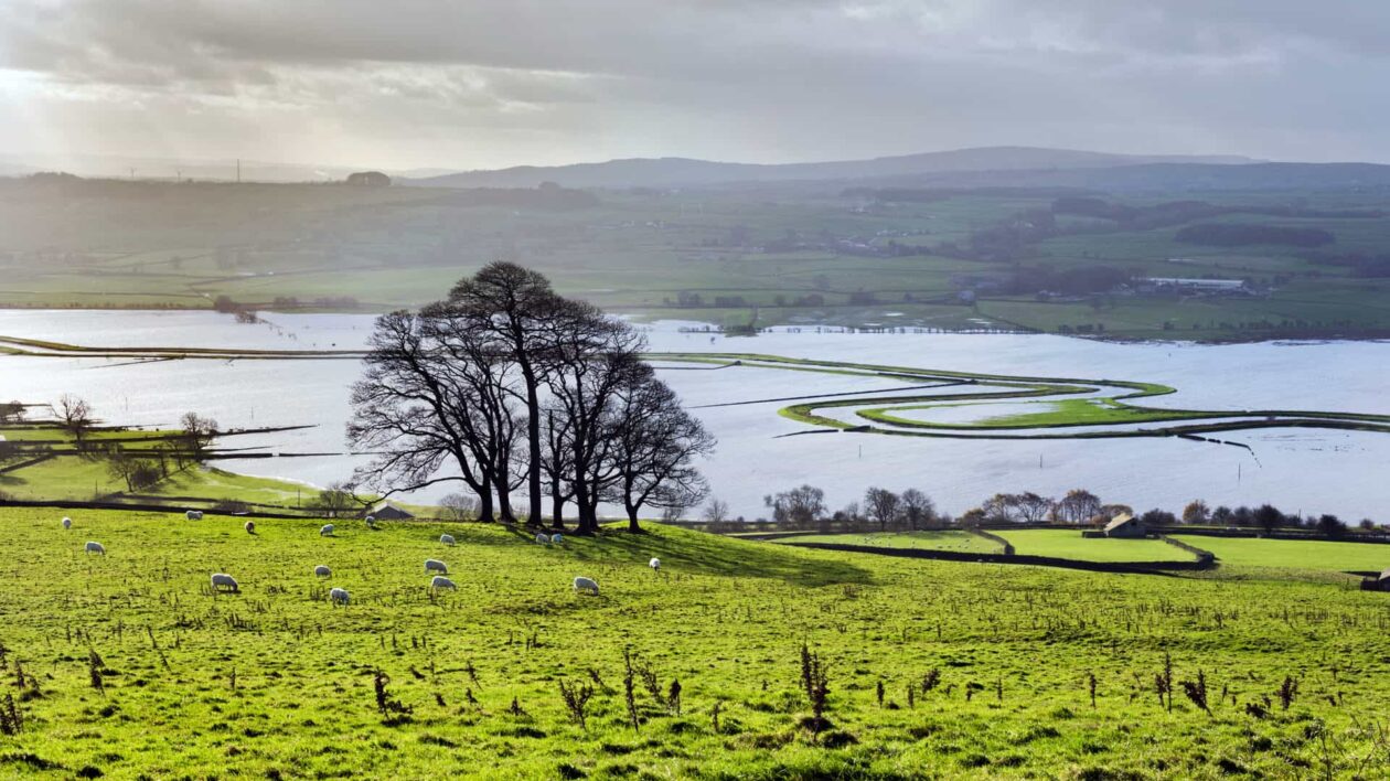 Ribble Rivers Trust - Working Together to Improve Our Rivers