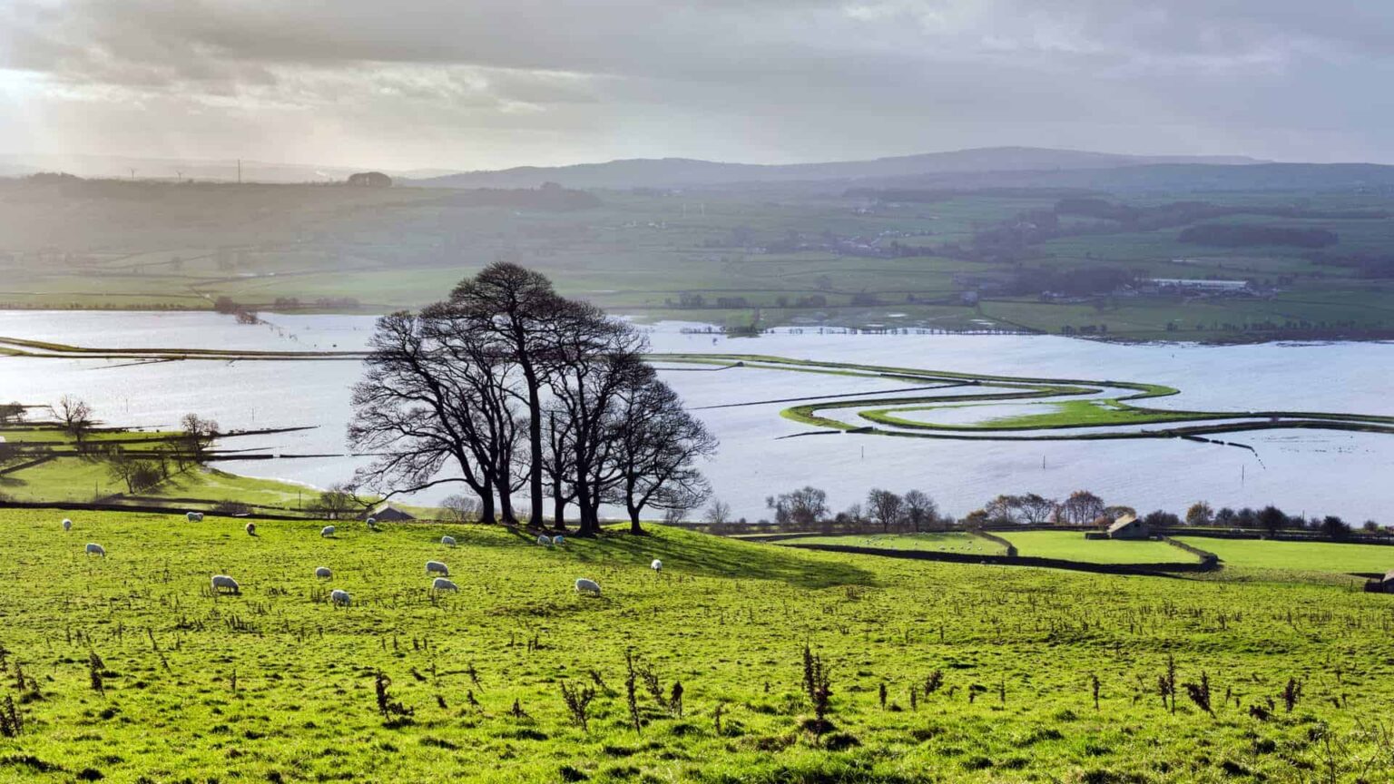 Ribble Rivers Trust - Working Together to Improve Our Rivers