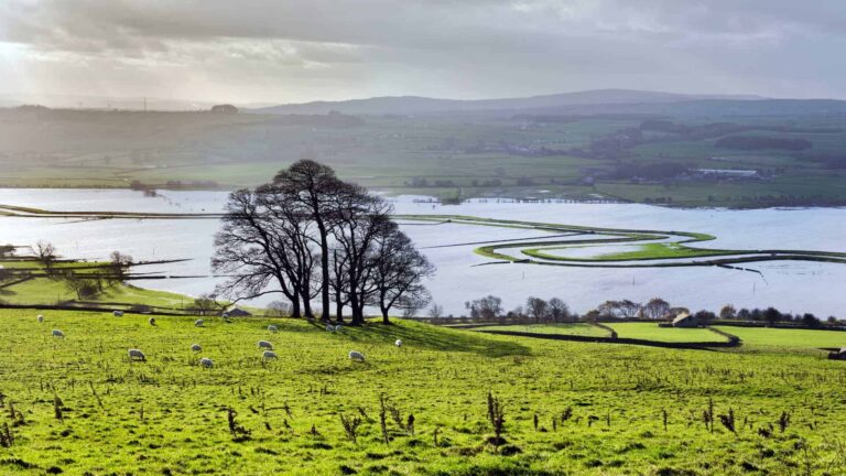 Ribble Rivers Trust - Working Together to Improve Our Rivers