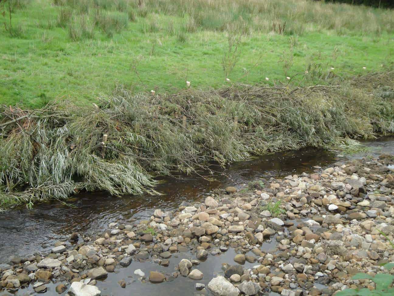 Work experience; helping students relate their learning to real world ...