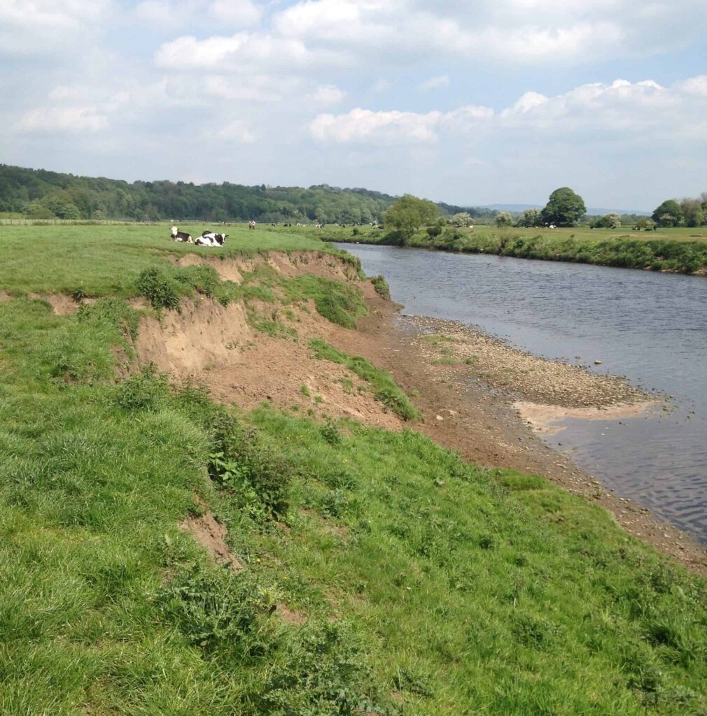 Tidal Ribble - Ribble Rivers Trust