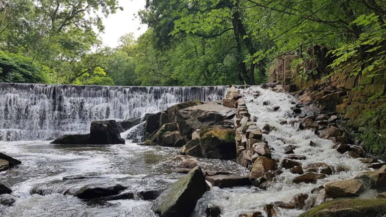 The Ribble Salmon Run; an Epic Upstream Journey - Ribble Rivers Trust