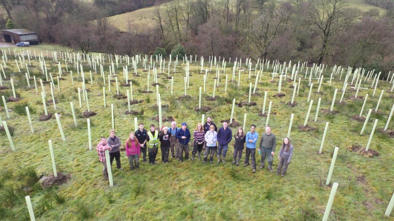 Terrific trees and wonderful woodlands- why we plant trees - Ribble ...