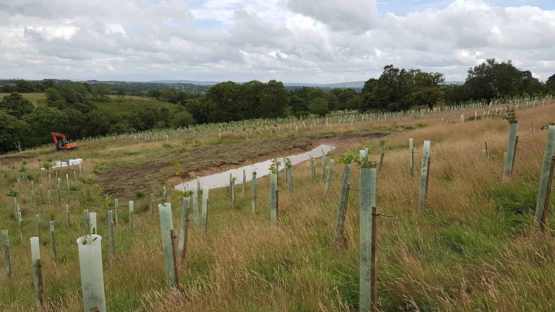 Natural Course - Ribble Rivers Trust
