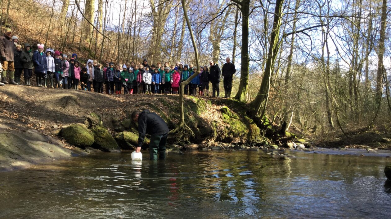 Rivers in the Classroom - Ribble Rivers Trust