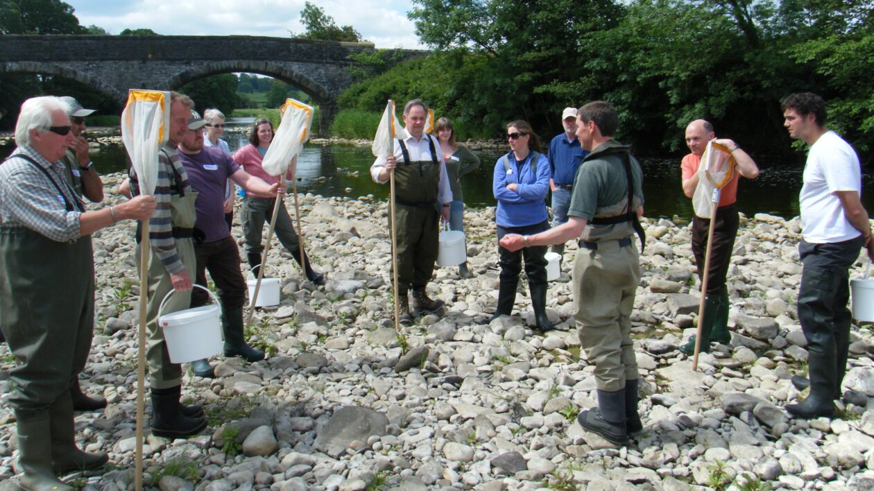 Riverfly monitoring dashboard - Ribble Rivers Trust