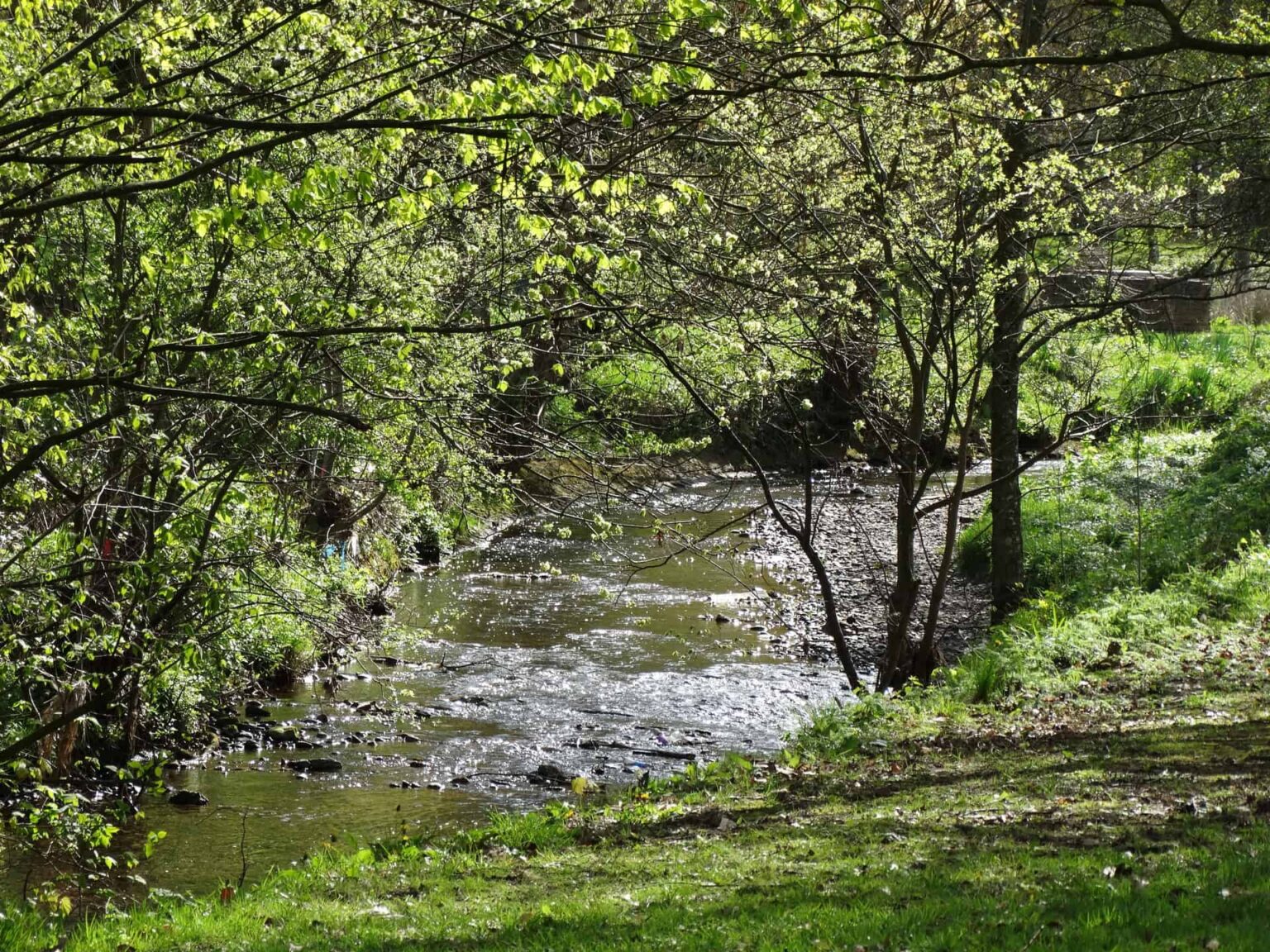 The River Ribble and it's tributaries - Ribble Rivers Trust