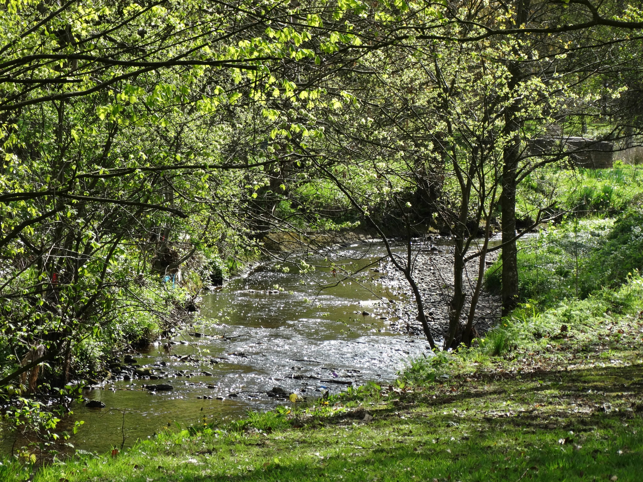 The River Ribble and it's tributaries - Ribble Rivers Trust