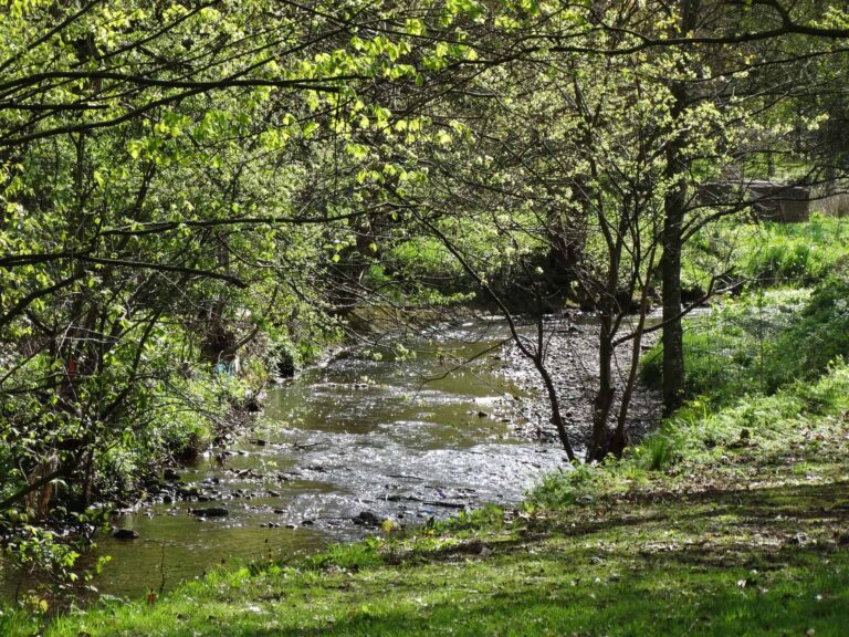 The River Ribble and it's tributaries - Ribble Rivers Trust