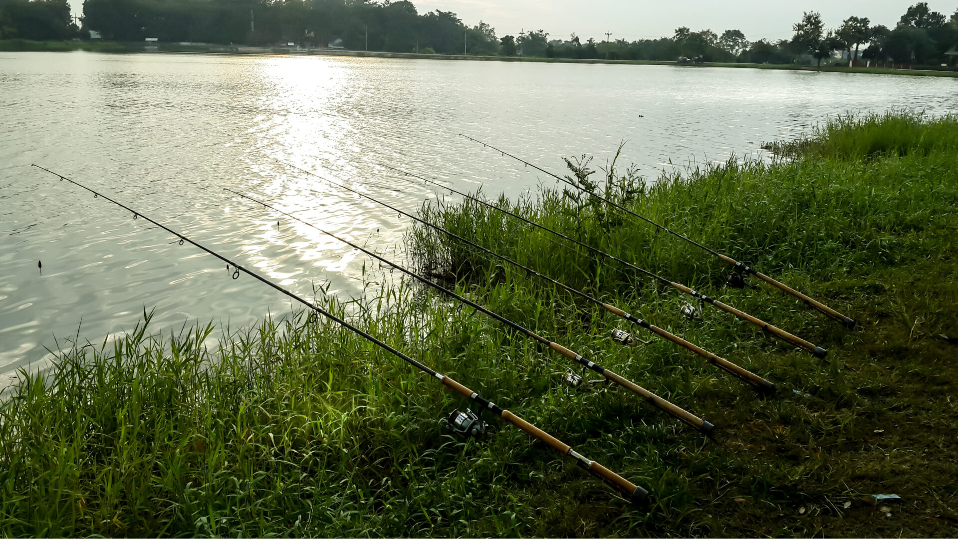 Fishing fun for Ribble Valley schools - Ribble Rivers Trust