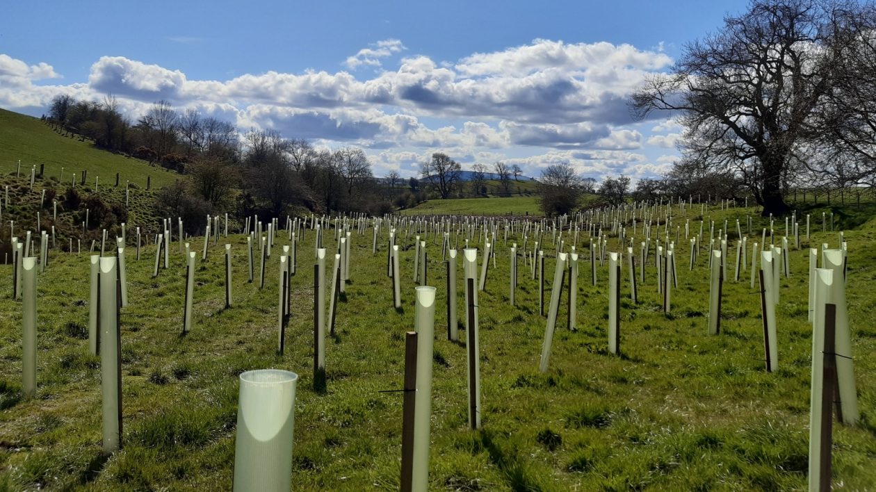 Who We Are - Ribble Rivers Trust