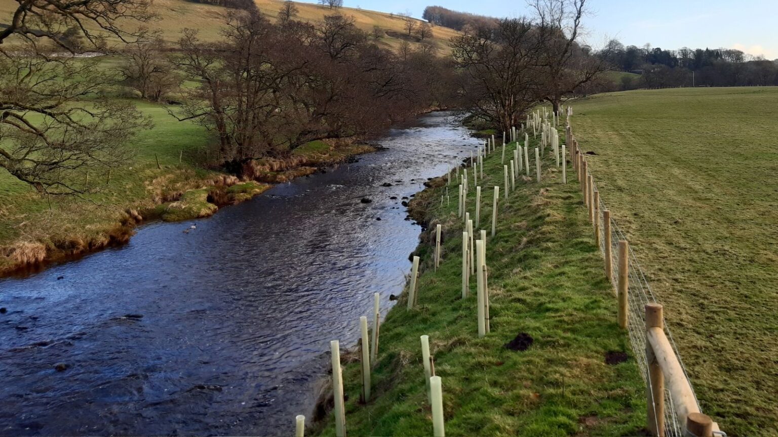 Rivers and trees- 5 benefits for woodlands and water- Ribble Rivers Trust