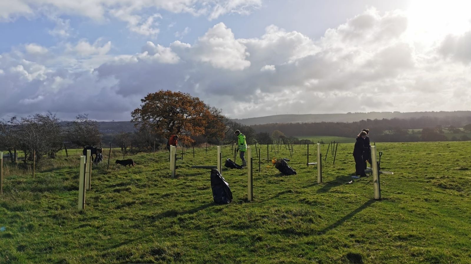 Team building days - Ribble Rivers Trust
