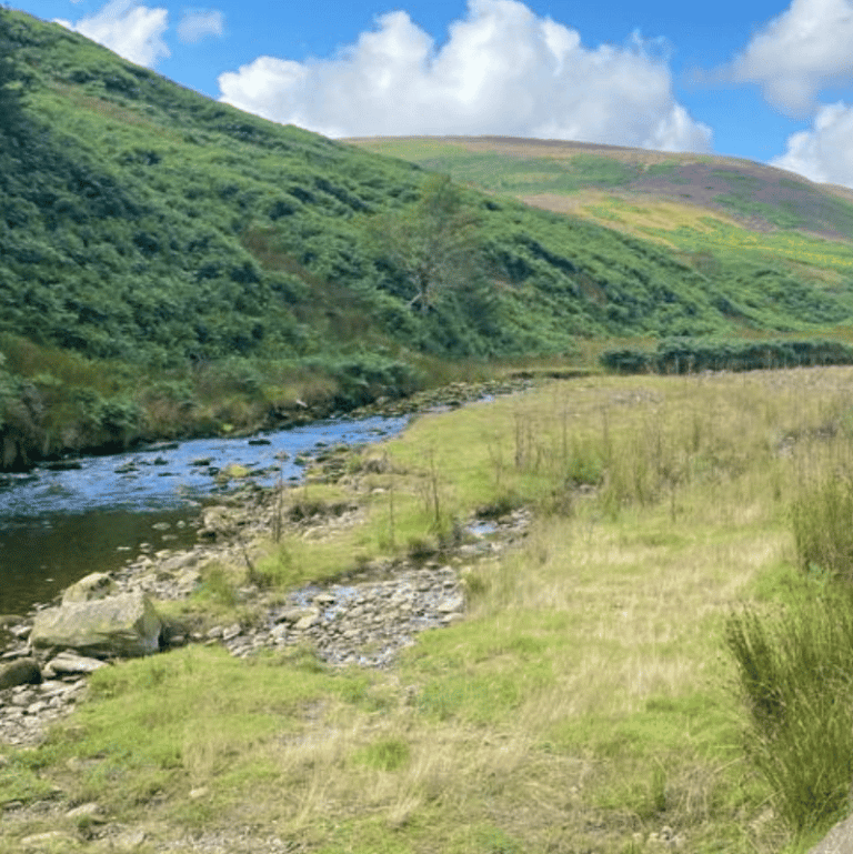 Ribble Rivers Trust - Working Together to Improve Our Rivers