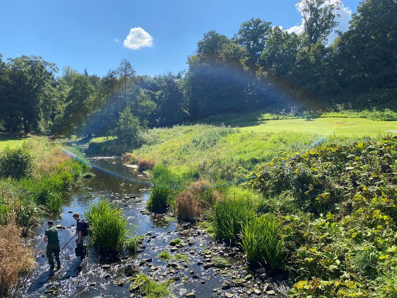 Fish monitoring: A PARRticularly dry summer - Ribble Rivers Trust