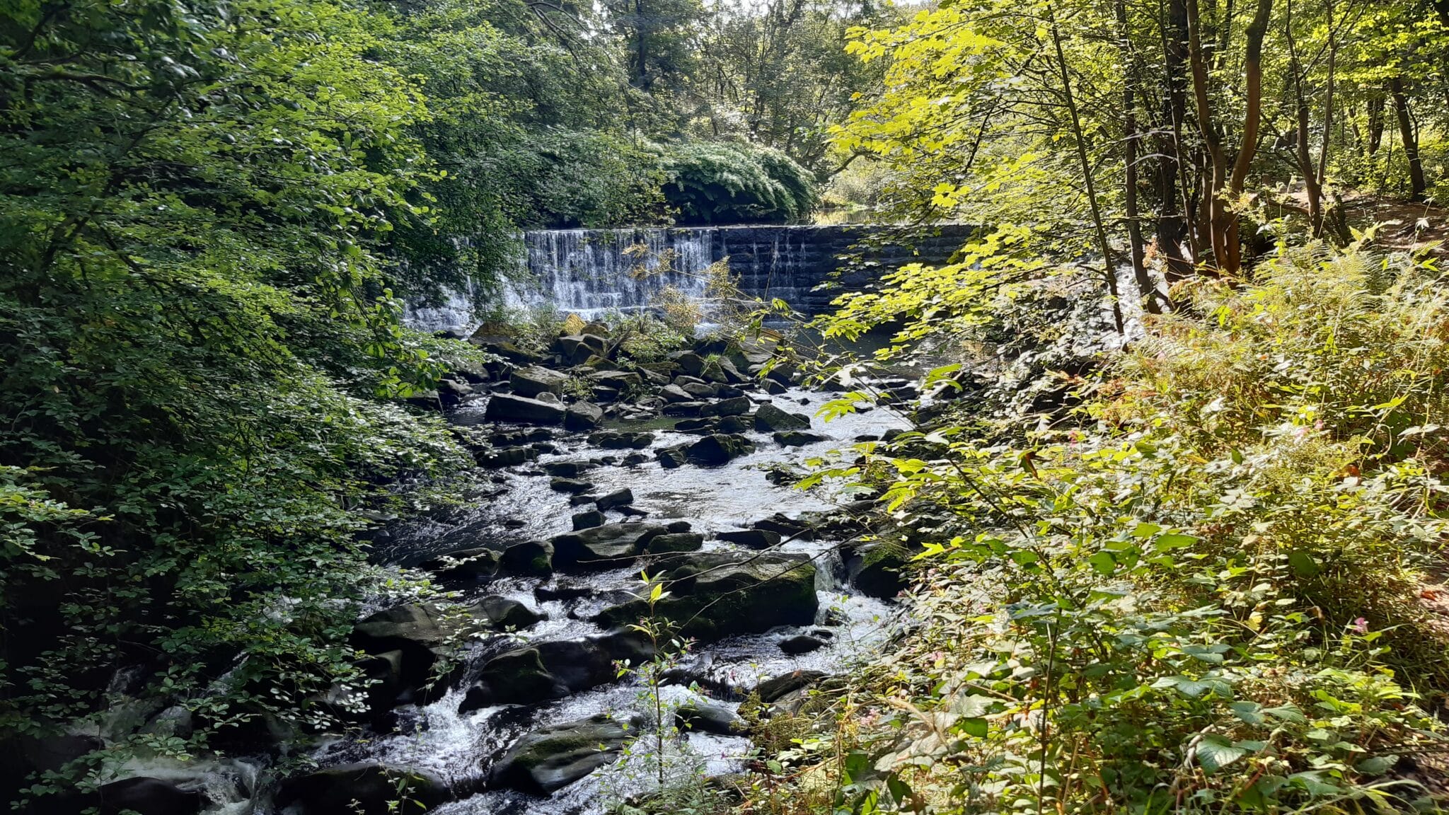 Darwen DEEP Project - Ribble Rivers Trust