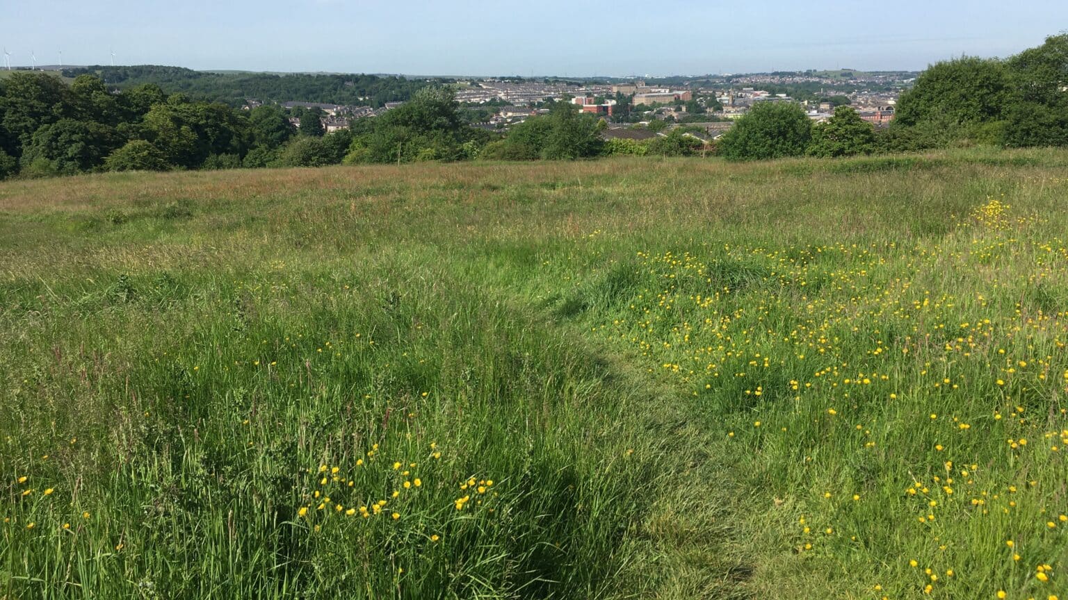 Ribble Rivers Trust - Working Together to Improve Our Rivers