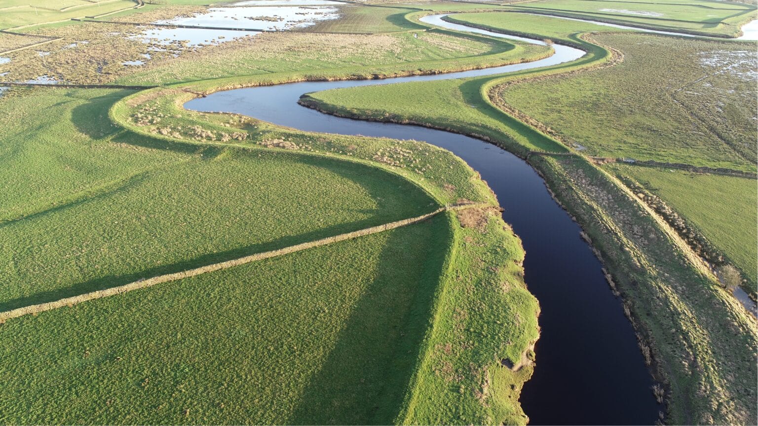 Ribble Rivers Trust newsletter - Ribble Rivers Trust