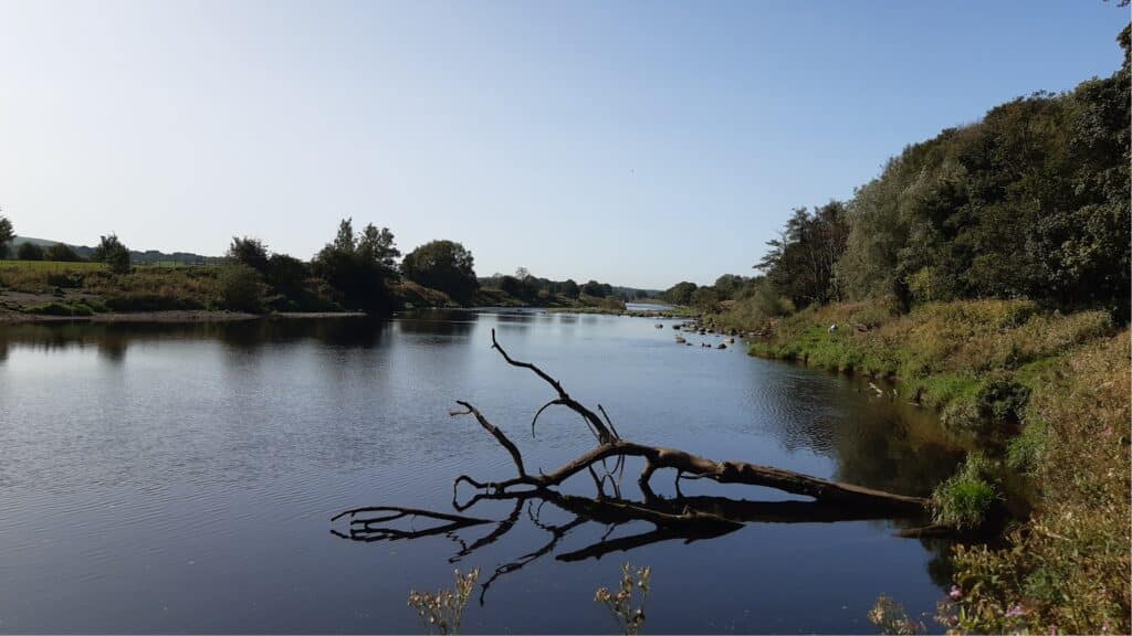 The River Ribble and it's tributaries - Ribble Rivers Trust