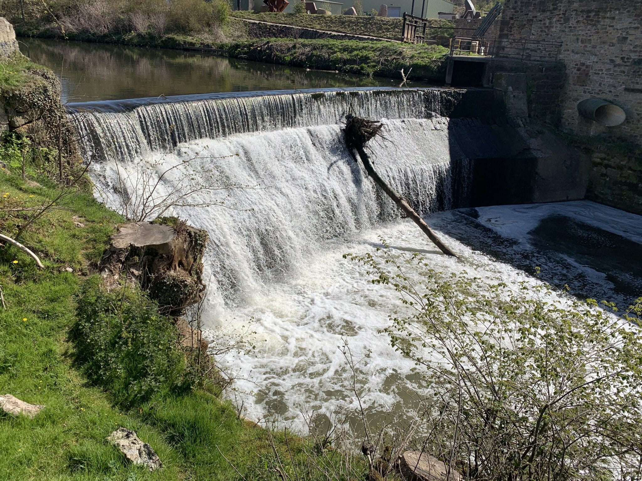 Ribble Life for Water - Ribble Rivers Trust