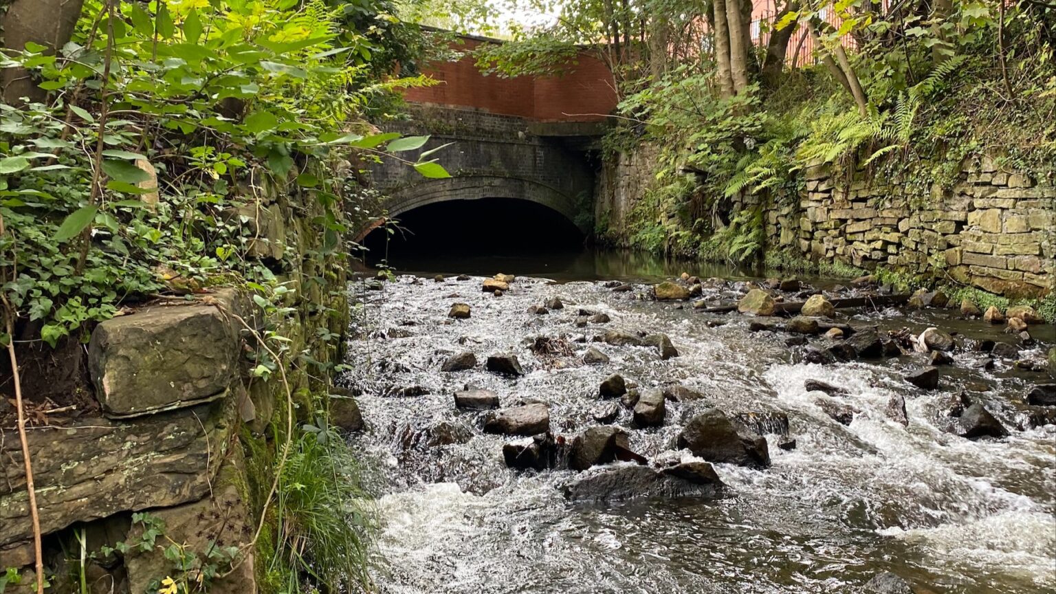What Is A Fish Pass? - Ribble Rivers Trust