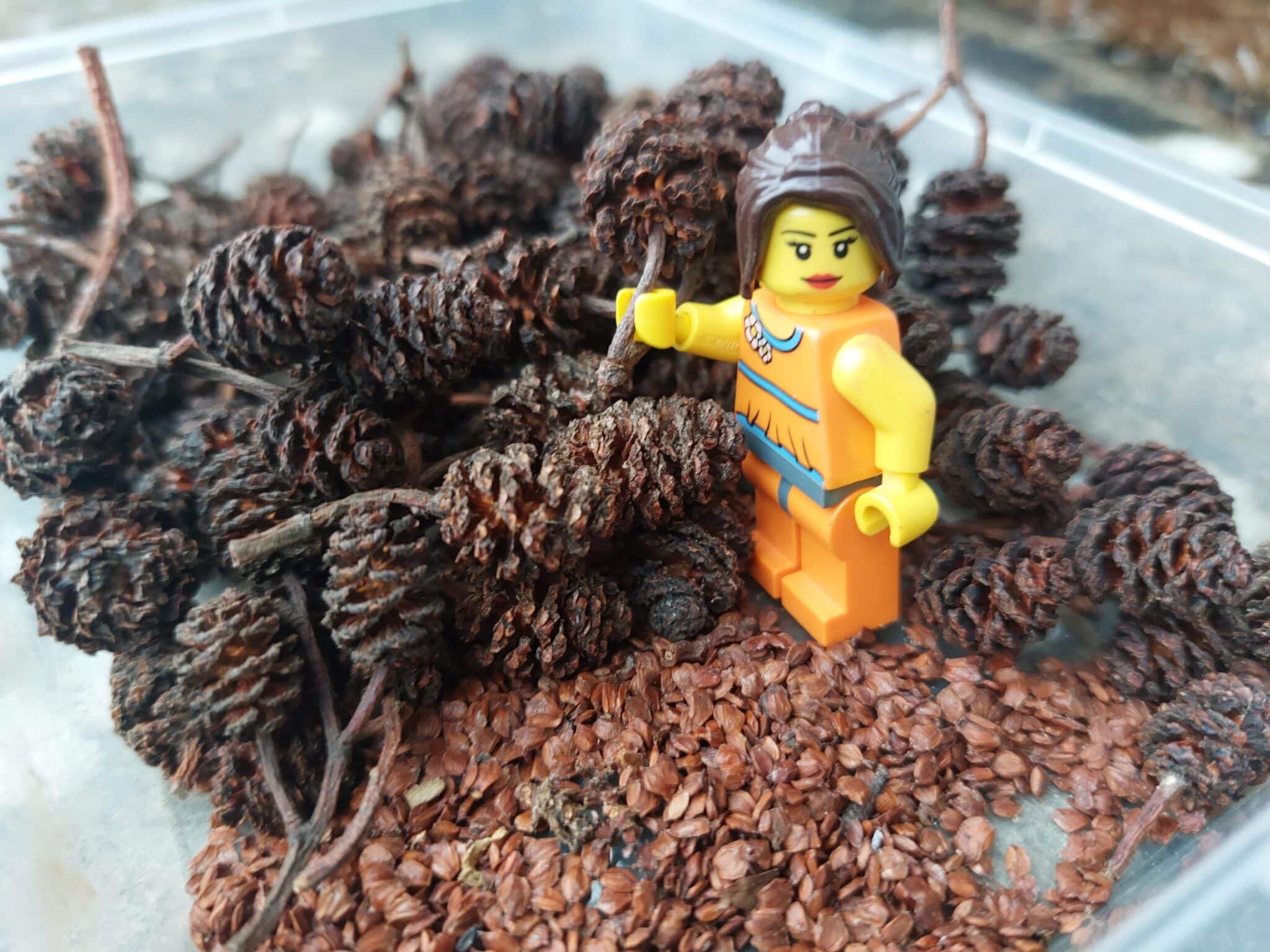 Community Tree Nurseries - Ribble Rivers Trust