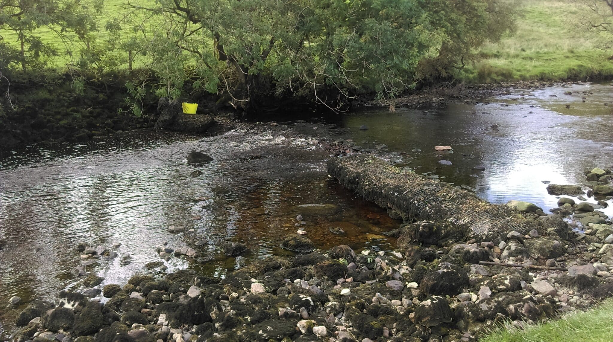 Ribble Life for Water - Ribble Rivers Trust