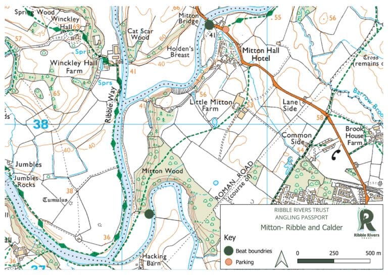 Fishing the River Ribble and it's waters - Ribble Rivers Trust