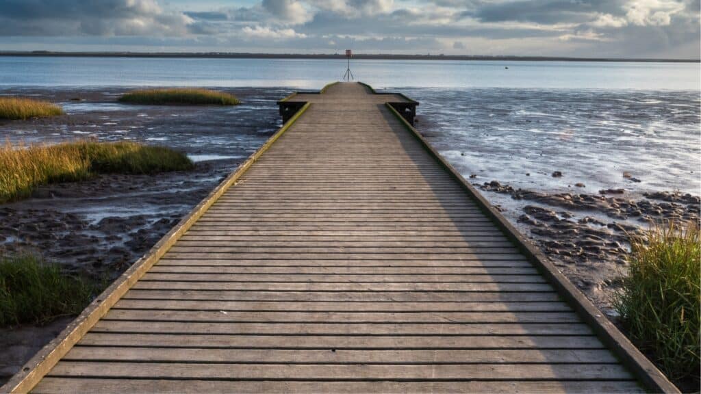 Tidal Ribble - Ribble Rivers Trust