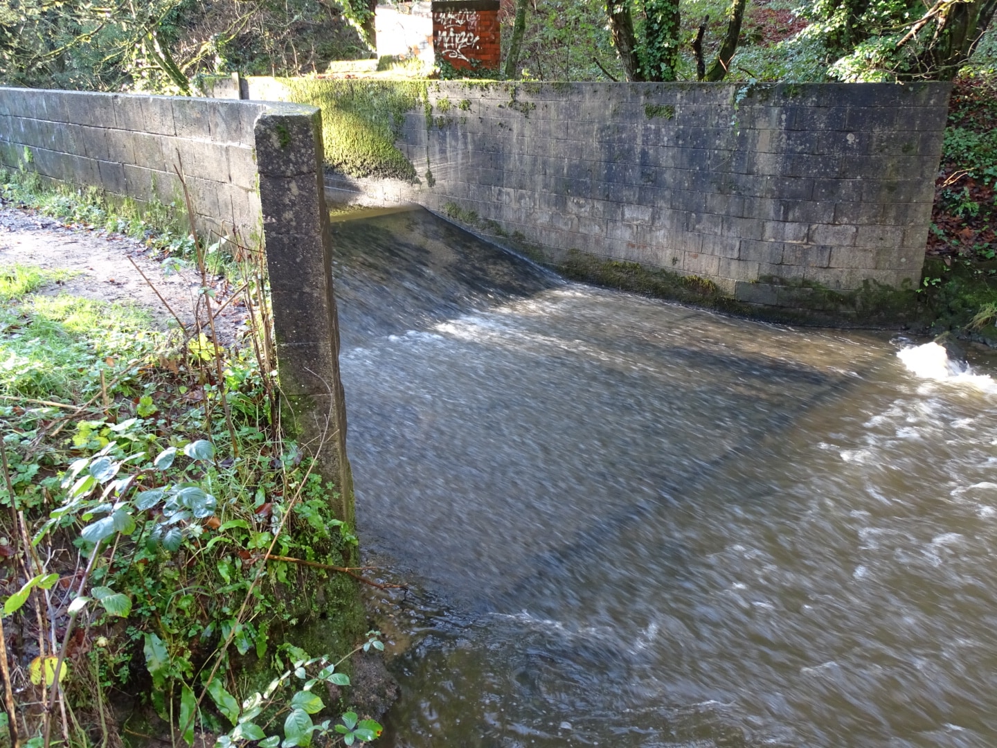 Cobbs Clough Weir - Ribble Rivers Trust