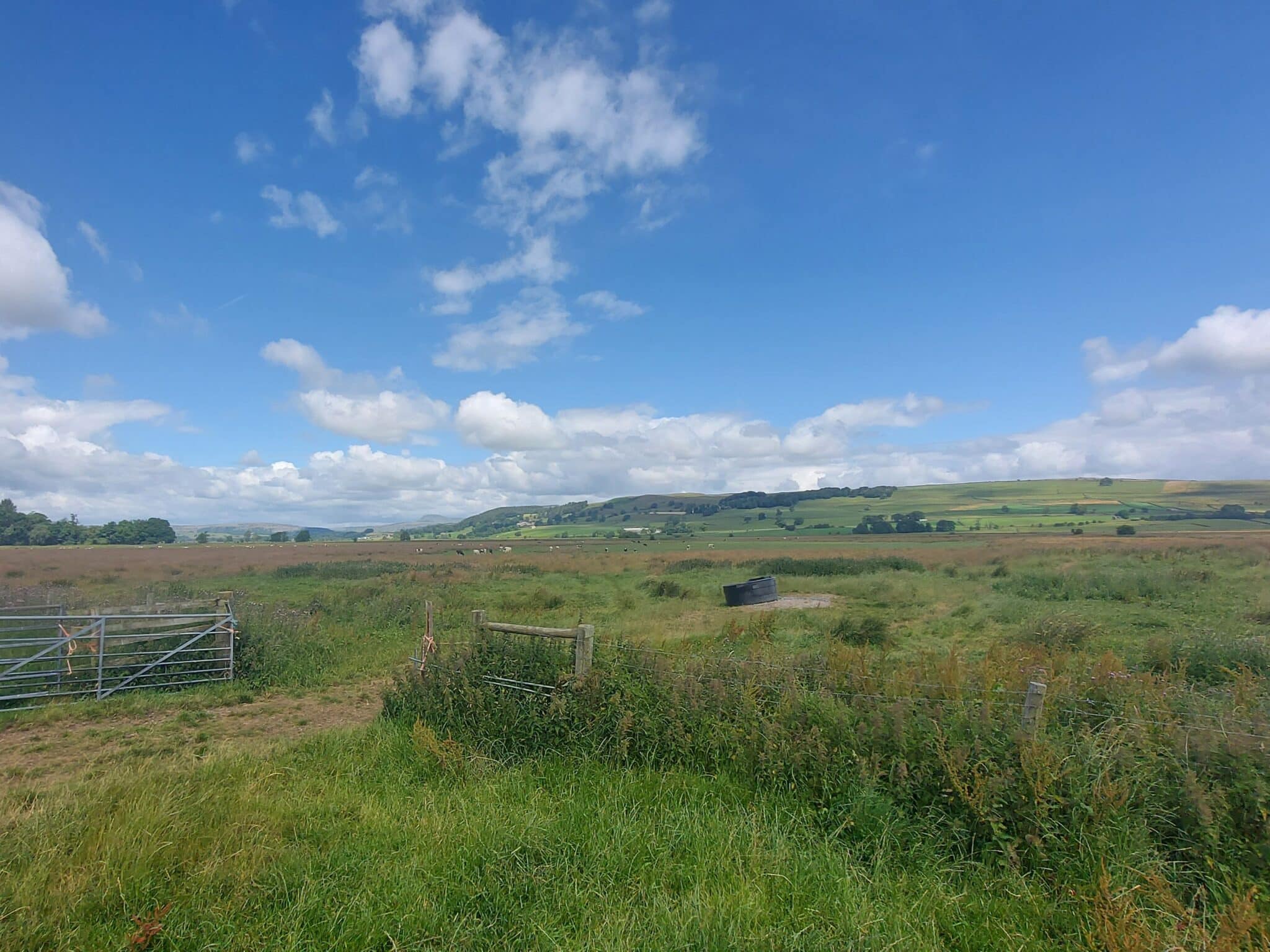 Wigglesworth Hall Floodplain Reconnection - Ribble Rivers Trust