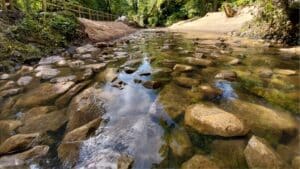 What Is River Restoration? - Ribble Rivers Trust