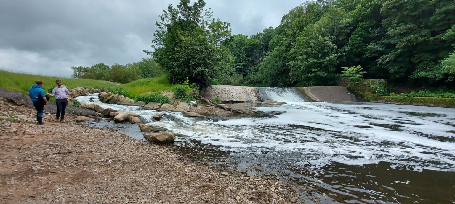 What Is River Restoration? - Ribble Rivers Trust