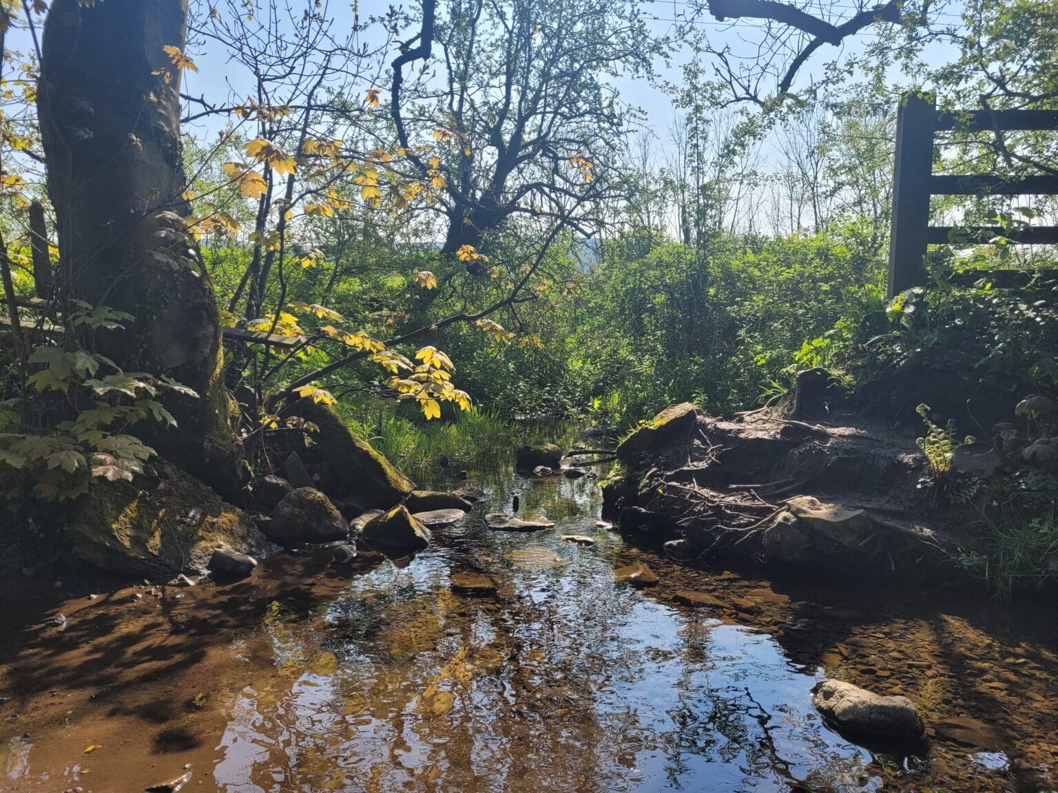 River Catchments: How They Work and Why They Matter - Ribble Rivers Trust