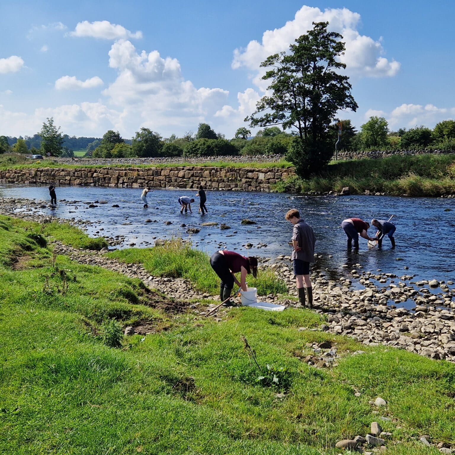 RiverBlitz events- A citizen science approach - Ribble Rivers Trust