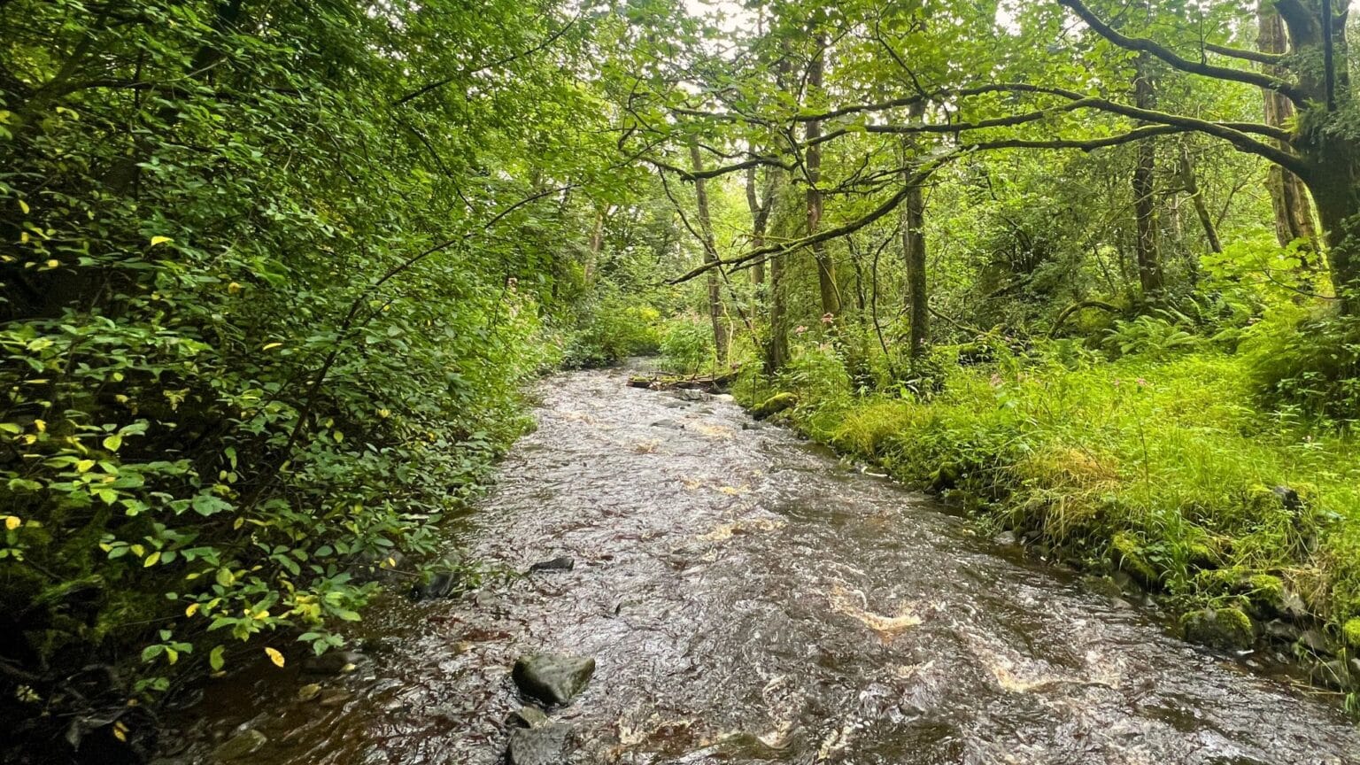 River Catchments: How They Work and Why They Matter - Ribble Rivers Trust
