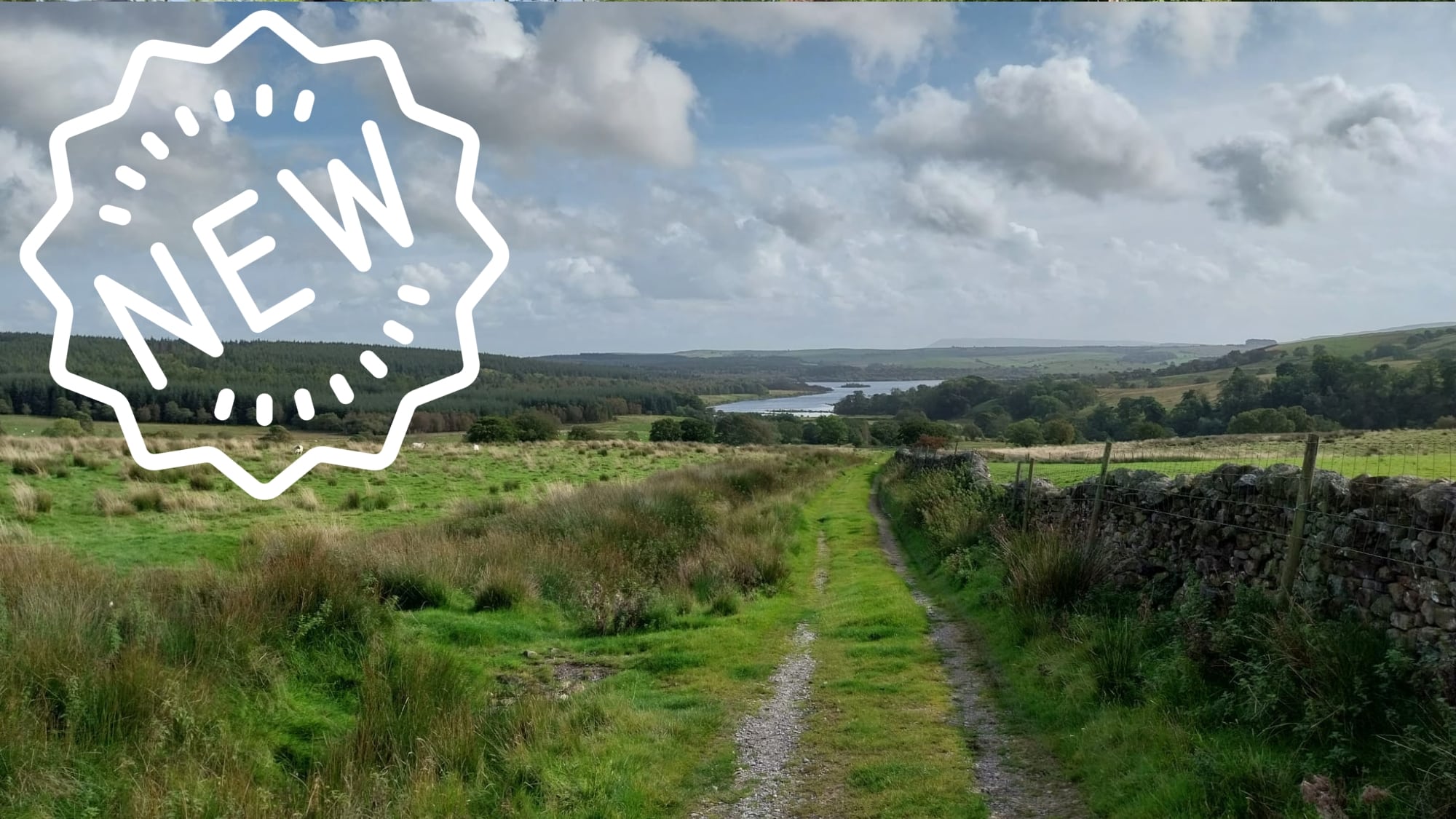 Hasgill Beck Brash Bundling - Ribble Rivers Trust