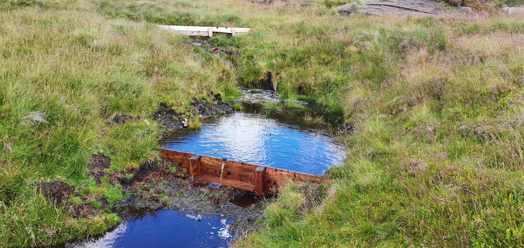 Celebrating the Ribble's Wonderful Wetlands - Ribble Rivers Trust