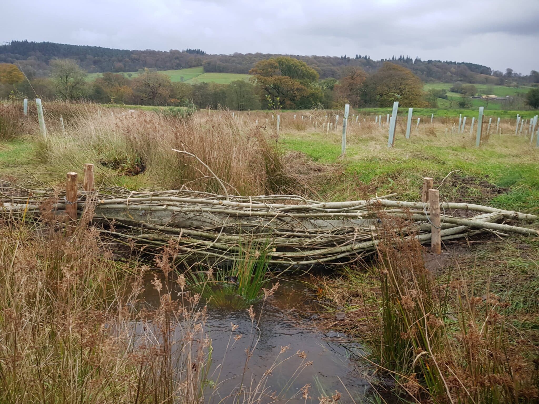 What is Natural Flood Management (NFM)? - Ribble Rivers Trust