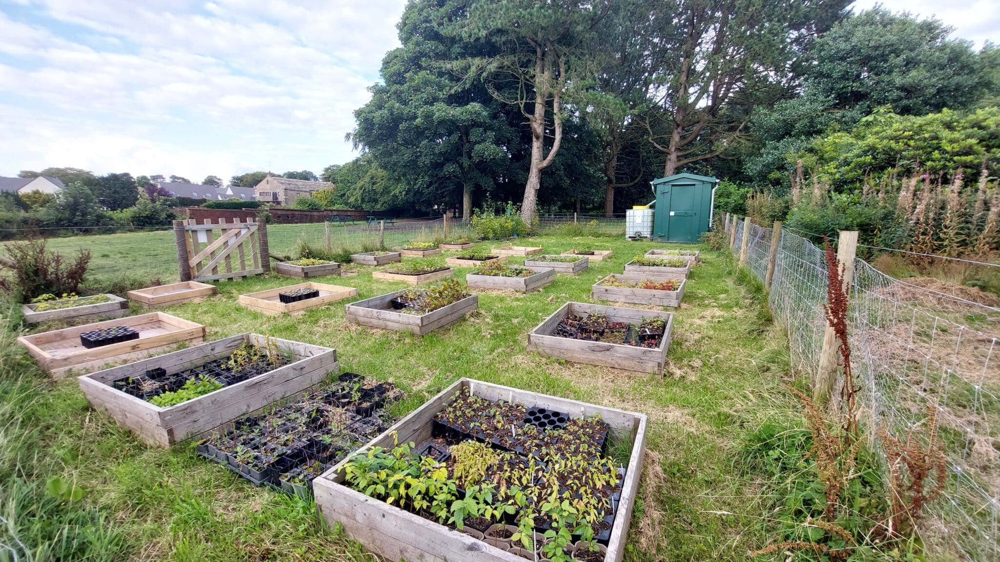 Join our conservation volunteers - Ribble Rivers Trust