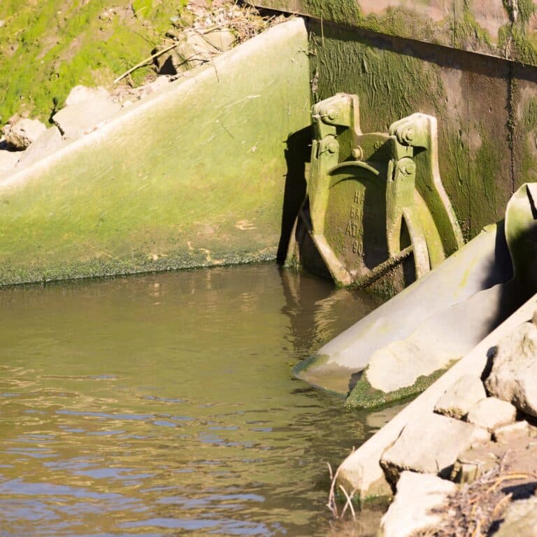 The secret world of rivers: what do healthy rivers look like? - Ribble ...