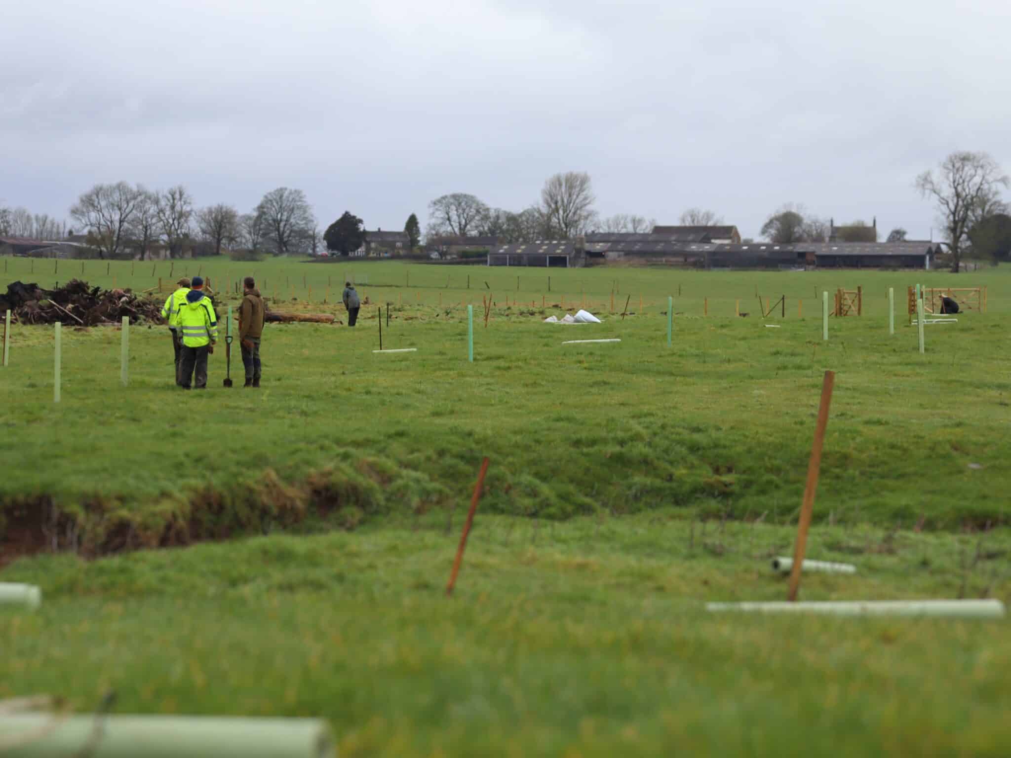 Species Survival Fund to Make Room For Rivers - Ribble Rivers Trust
