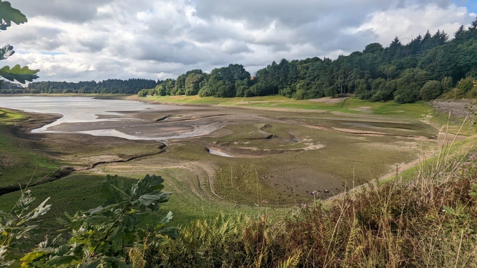 World Water Day 2024: Remarkable Rivers - Ribble Rivers Trust
