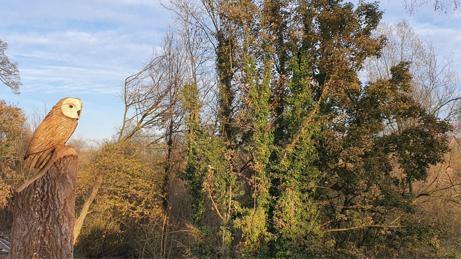 Ribble Rivers Trust - Working Together to Improve Our Rivers