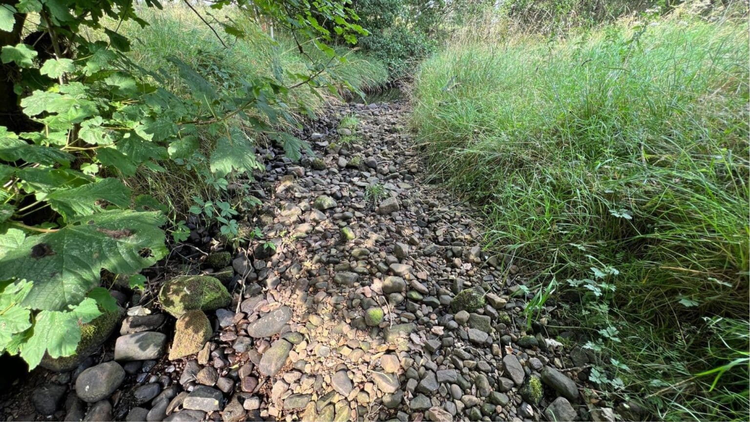 Ribble Rivers Trust - Working Together to Improve Our Rivers