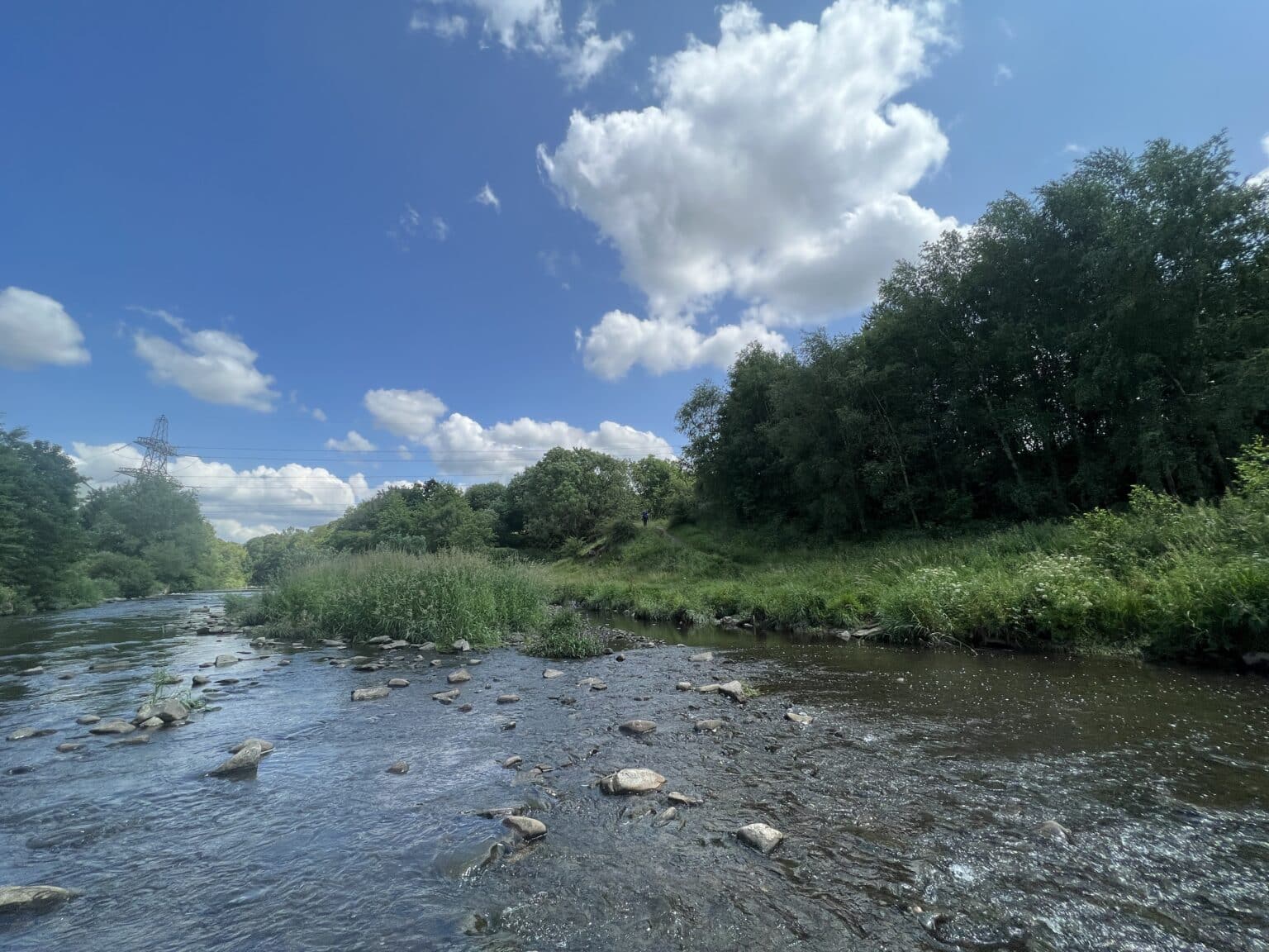 Get hooked on fishing this summer holidays! - Ribble Rivers Trust
