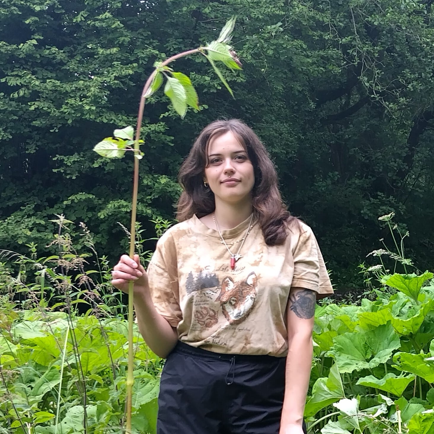 Meet the Ribble Rivers Trust team - Ribble Rivers Trust